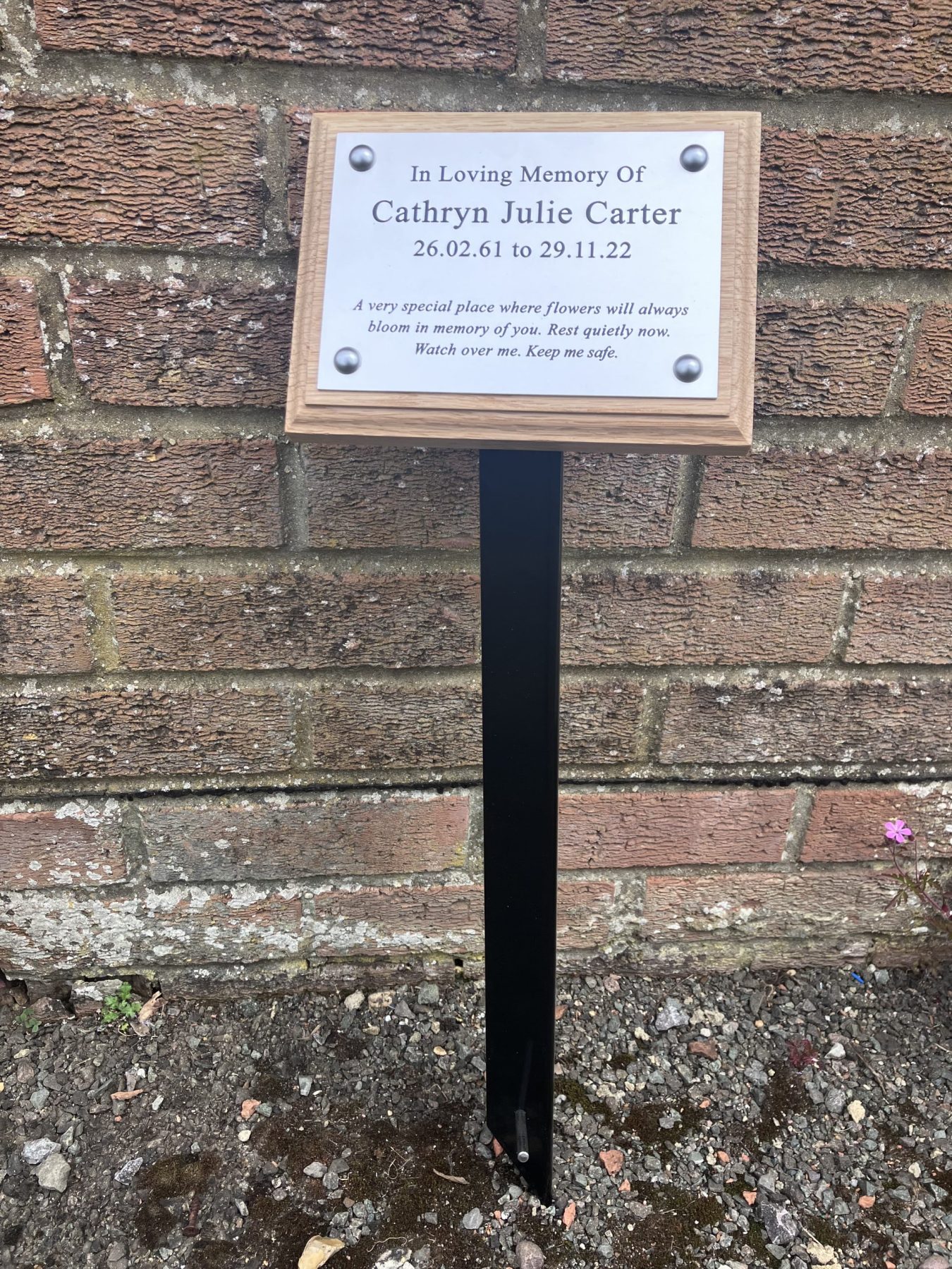 Anodised Aluminium Commemorative Tree Plaques - Signs Engraving