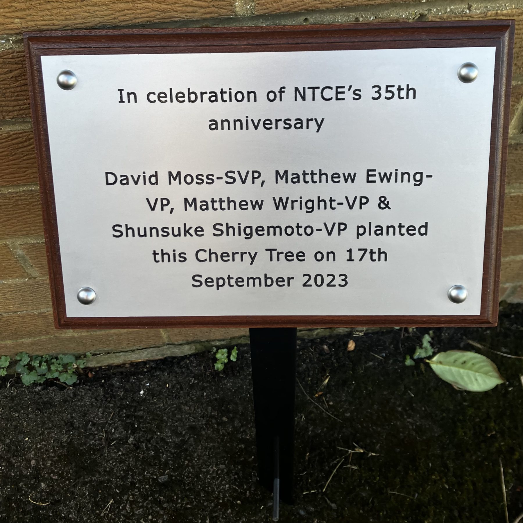 Anodised Aluminium Commemorative Tree Plaques - Signs Engraving