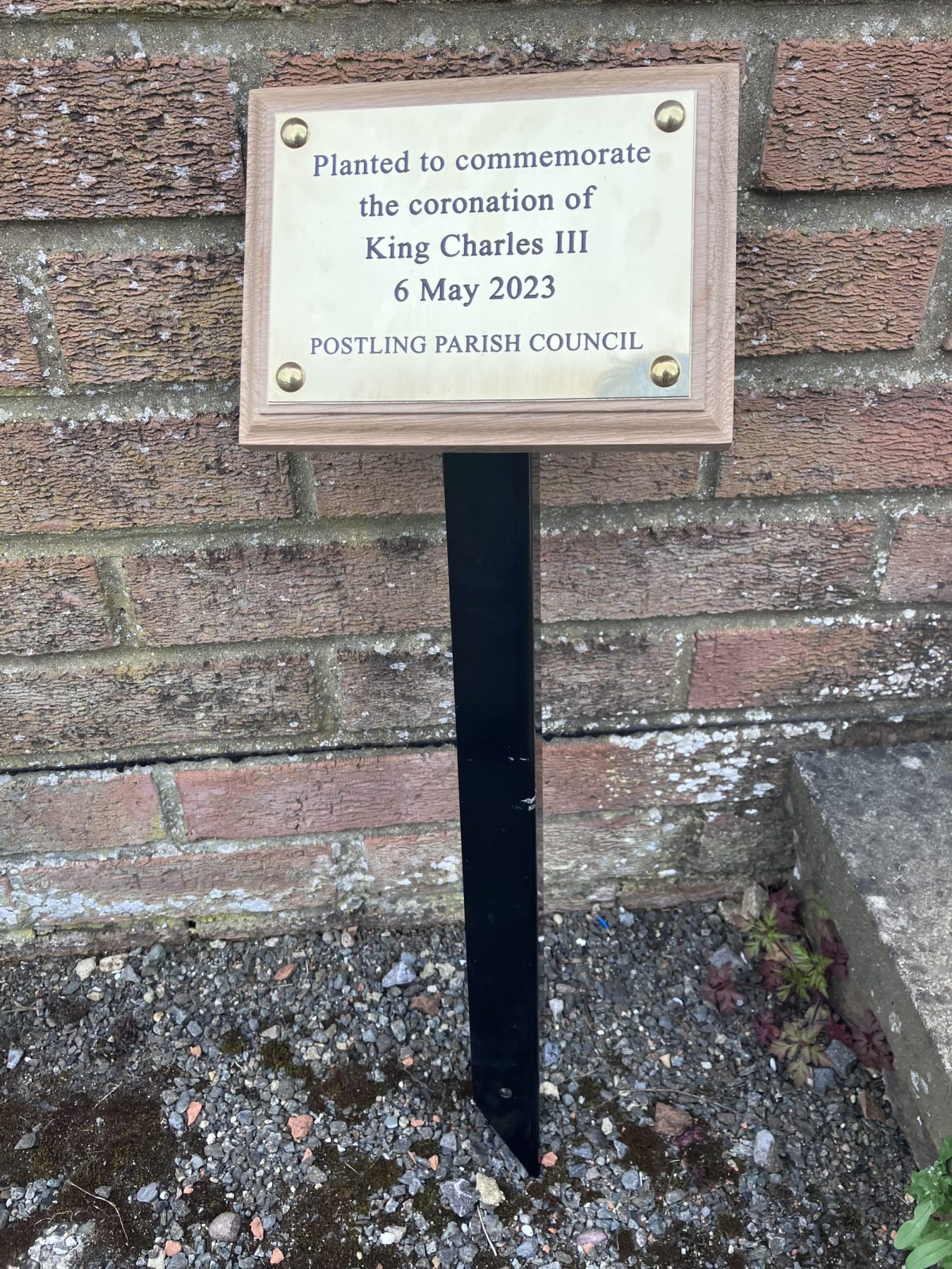 Polished Brass Commemorative Tree Plaques - Signs Engraving